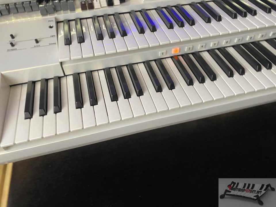 WERSI Sonic OAX600 LS im Spectra Gehäuse hochglanz weiss im ...